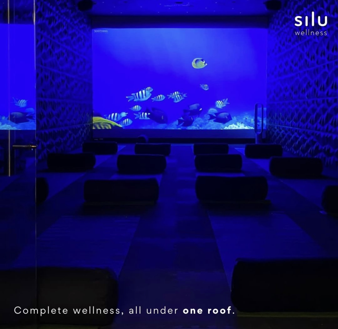 Silu Wellness Phase 2 - a Business crowdfunding project in Peterborough ...