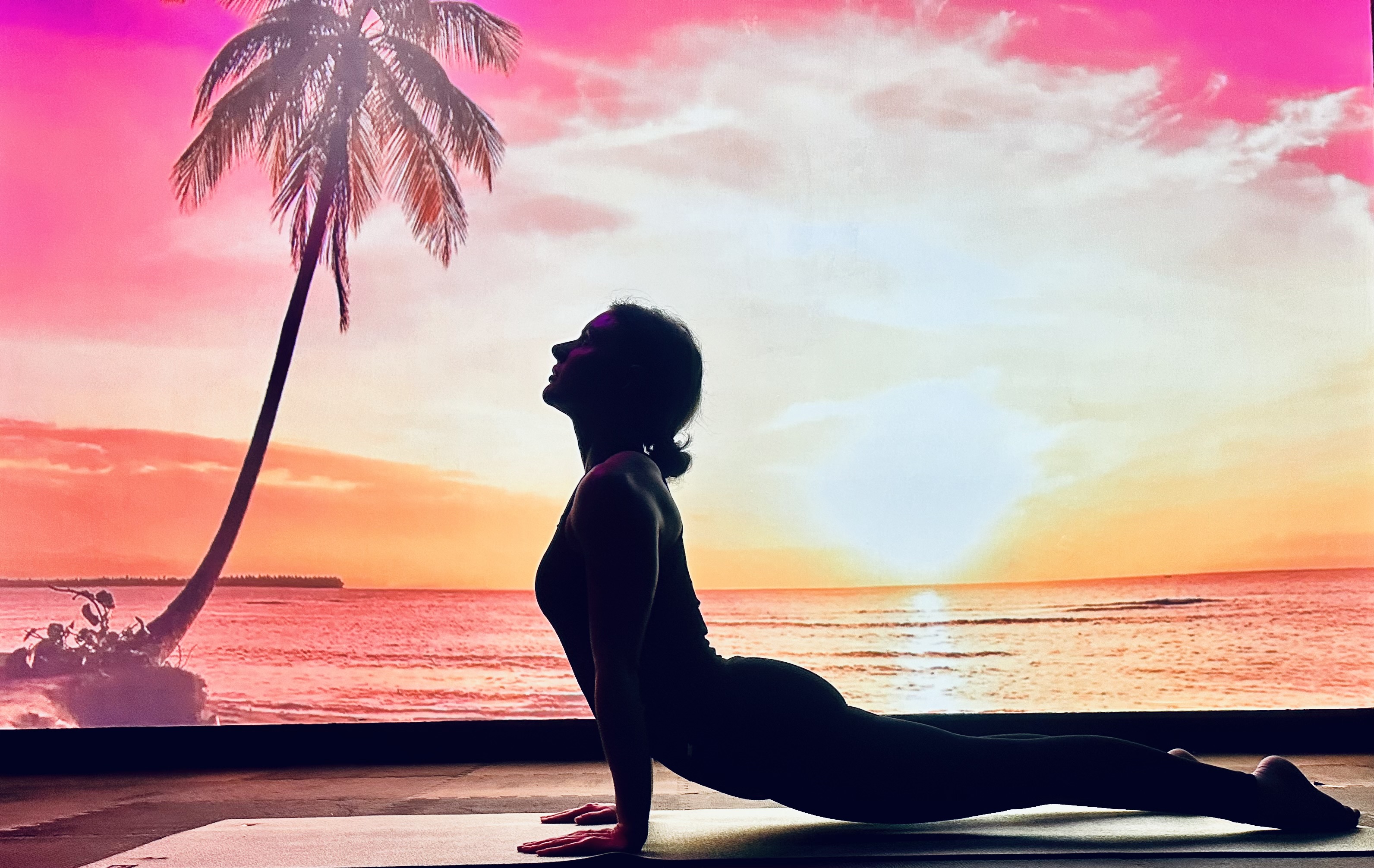 Silu Wellness Phase 2 - a Business crowdfunding project in Peterborough ...