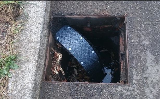 Saving Amphibians in Roadside Drains - a Environment crowdfunding ...