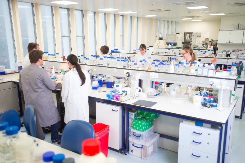 Insect larvae to replace mammals in lab - a Technology crowdfunding ...