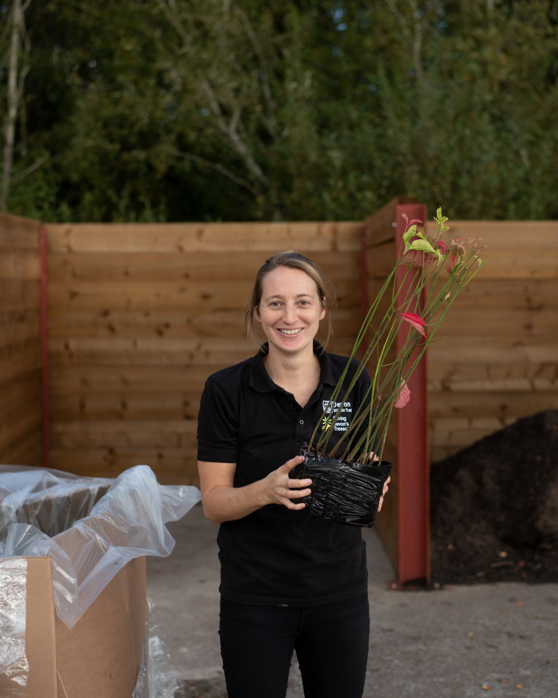 Saving Devon's Treescapes - a Charities crowdfunding project in Exeter ...