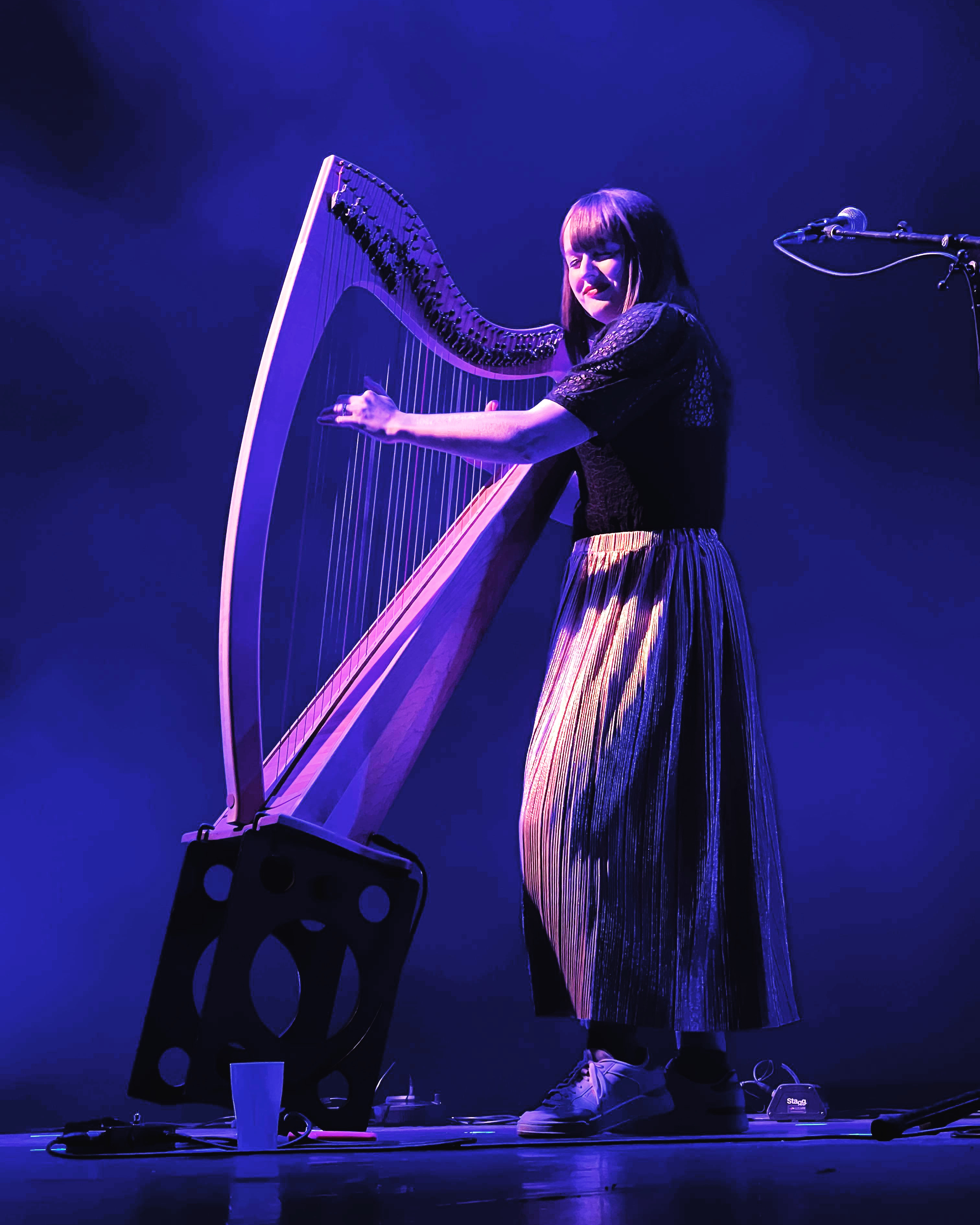 20 years later… SOLO HARP ALBUM NO. 2! - a Creative & Arts crowdfunding ...