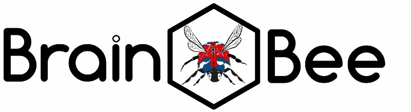 Brain bee — die marke: brain bee hersteller – ICDK