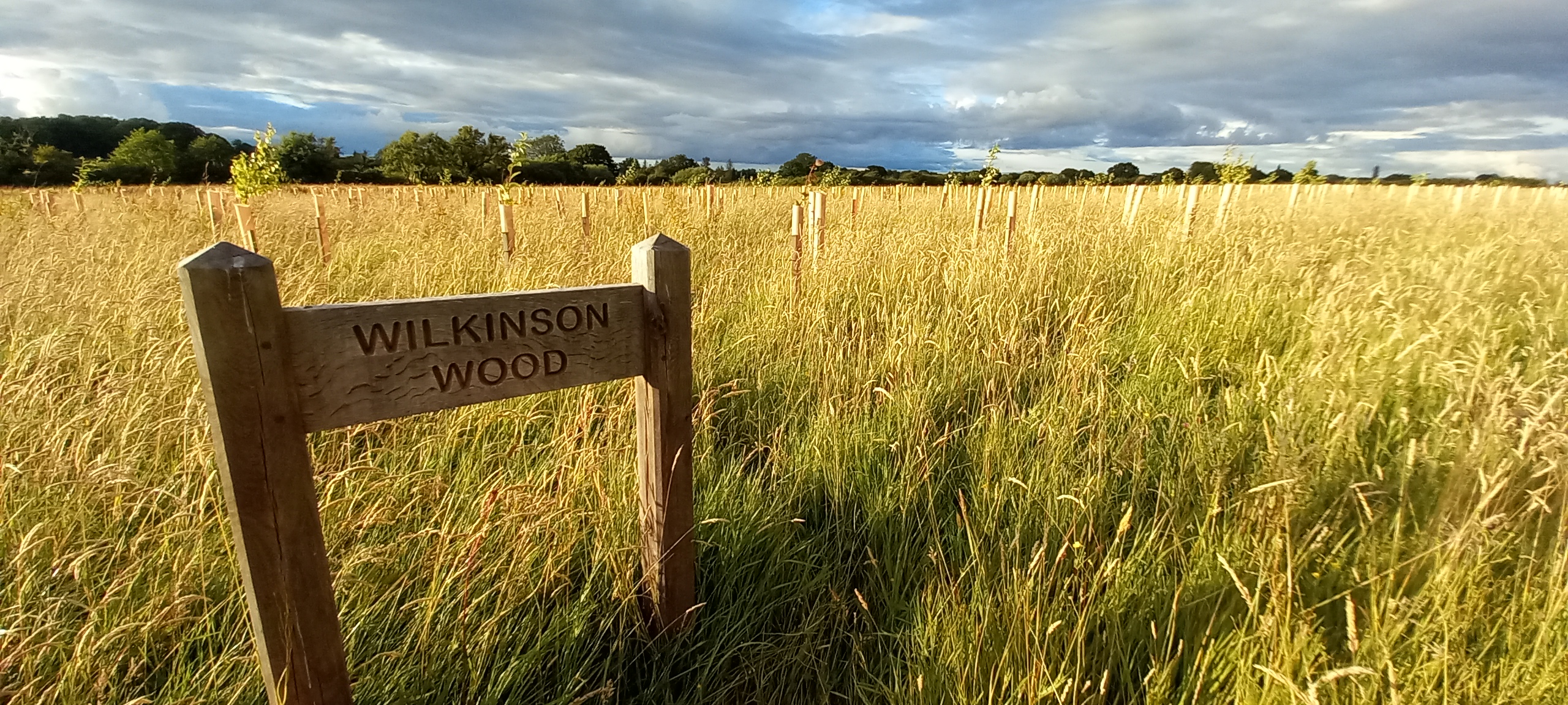 LONG LANDS COMMUNITY SHARE OFFER - a Community crowdfunding project in ...