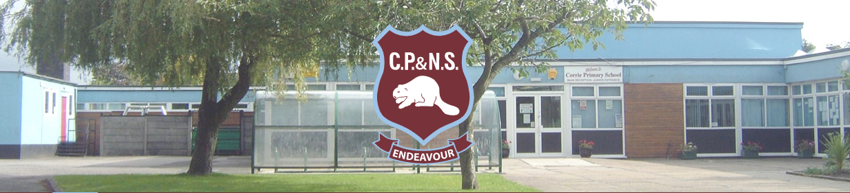 The Corrie Primary School Fundraiser - a Community crowdfunding project ...