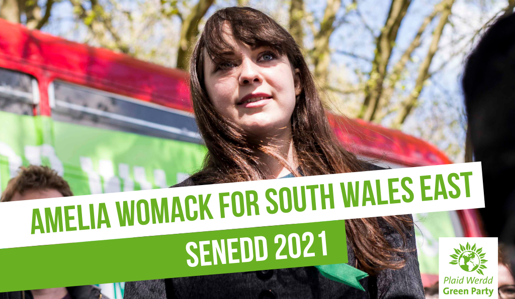 Get Amelia Womack to the Senedd in 2021 - a Environment crowdfunding ...