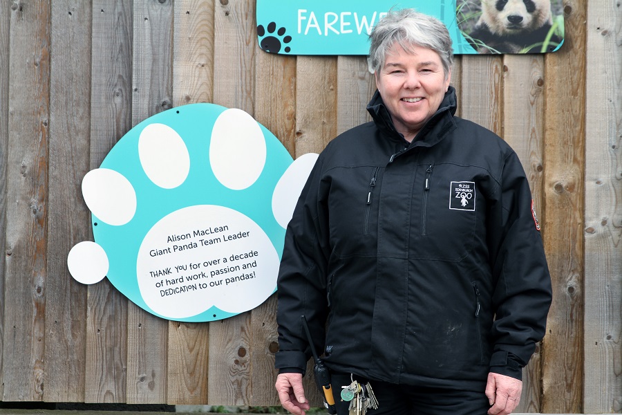 Win a panda keeper prize - a Environment crowdfunding project in ...