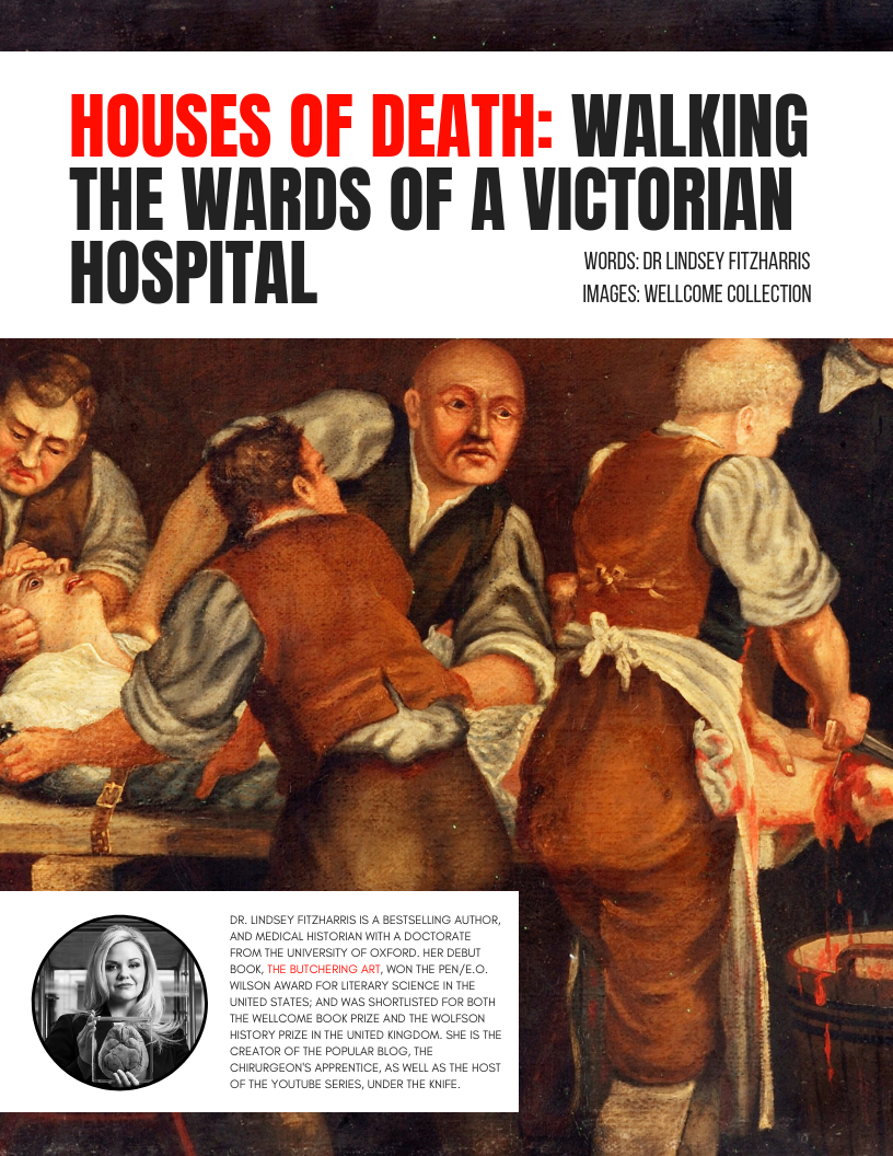 Inside History Magazine - a Publishing crowdfunding project in Chester ...