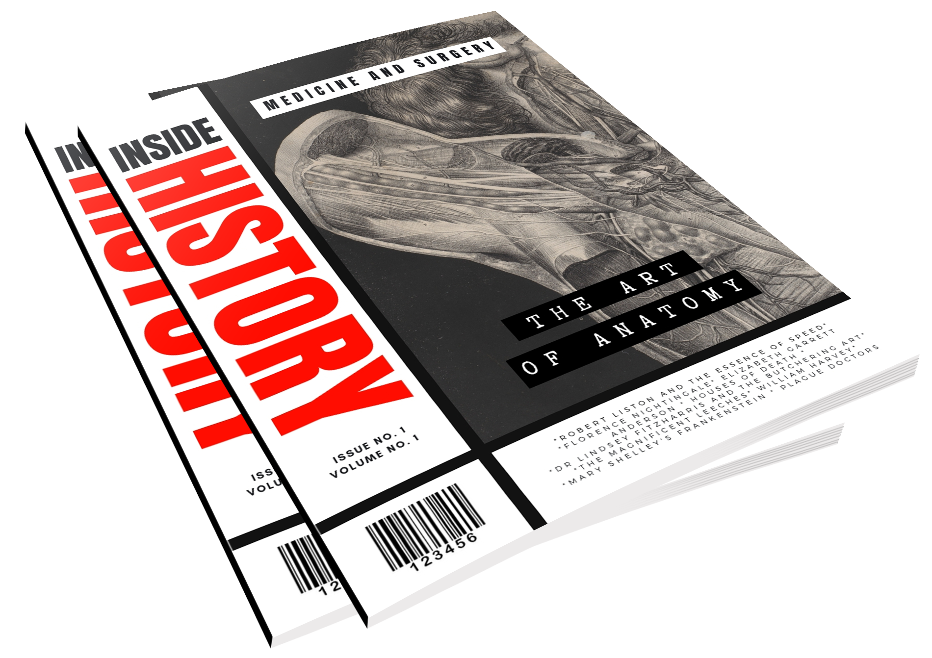 Inside History Magazine - a Publishing crowdfunding project in Chester ...