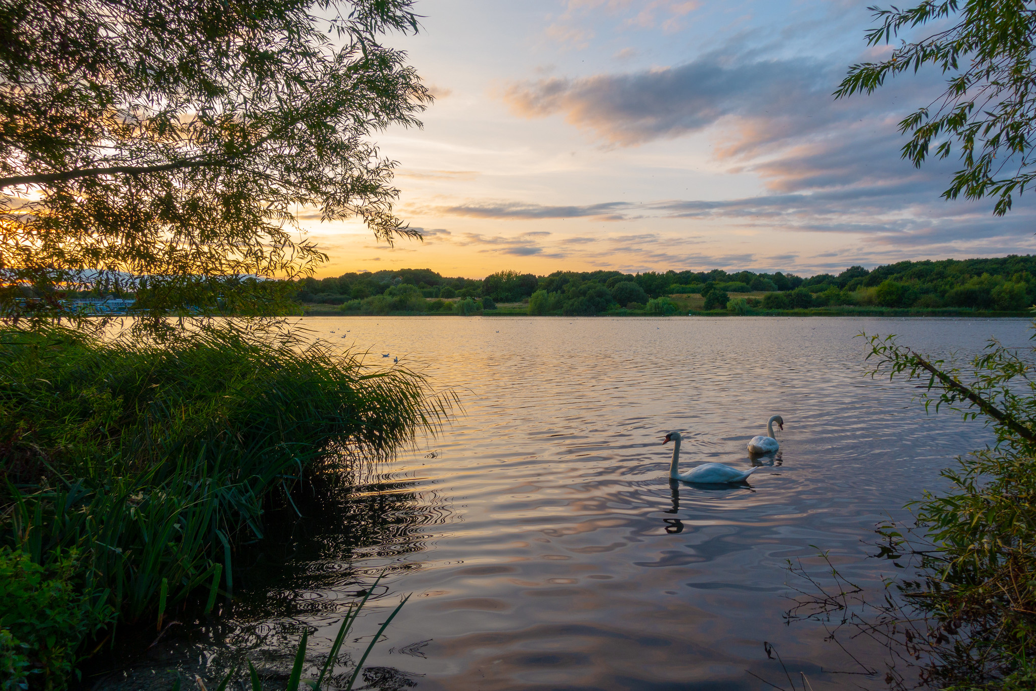 Help us with the Welsh Harp Reservoir clean up - a Community ...