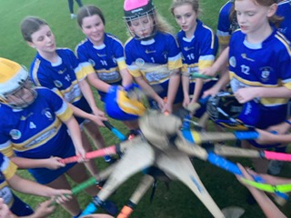 Rossa's Future GAA Programme - a Community crowdfunding project in ...