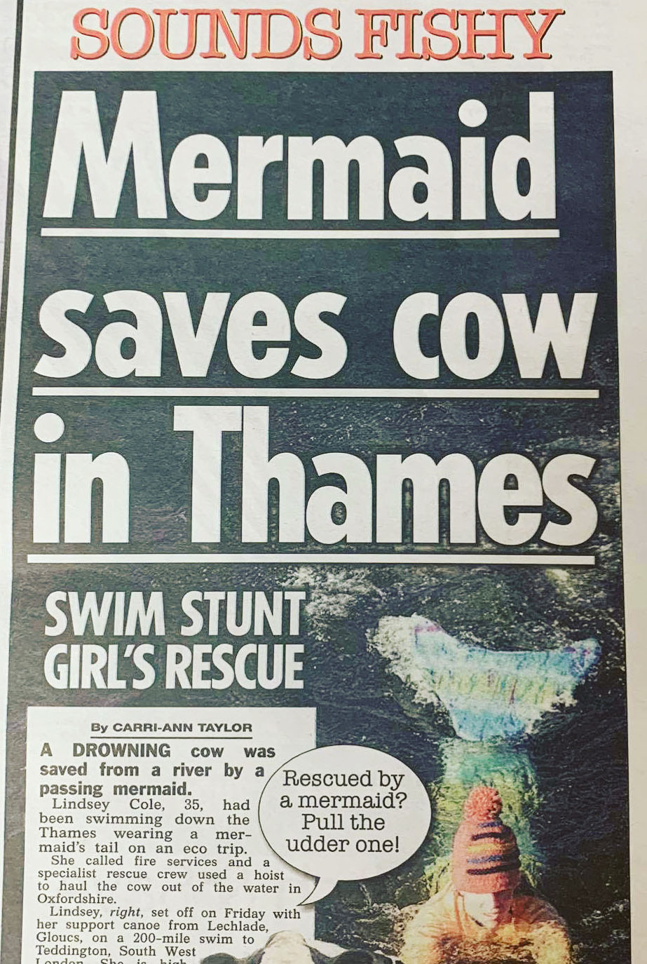 The Mermaid and the Cow - a Environment crowdfunding project in Bristol ...