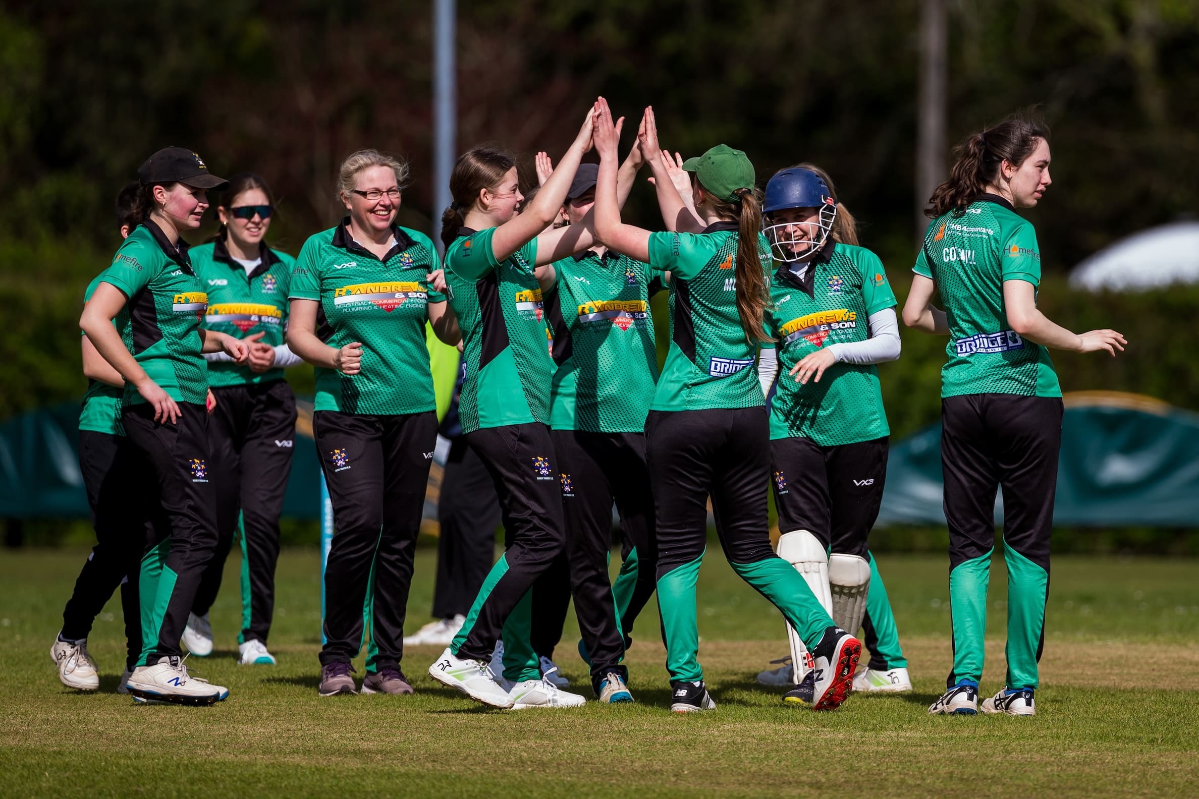 Win 2014 Ford Fiesta Zetec S and support BTCC - a Community ...