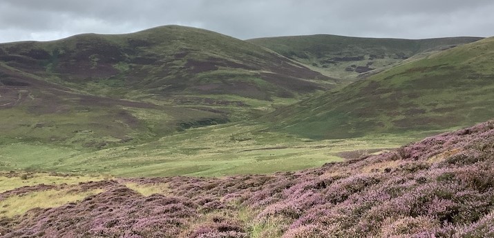 Save Stobo Hope from Commercial Forestry Project - a Environment ...