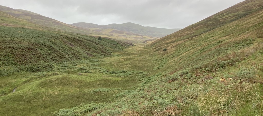 Save Stobo Hope from Commercial Forestry Project - a Environment ...