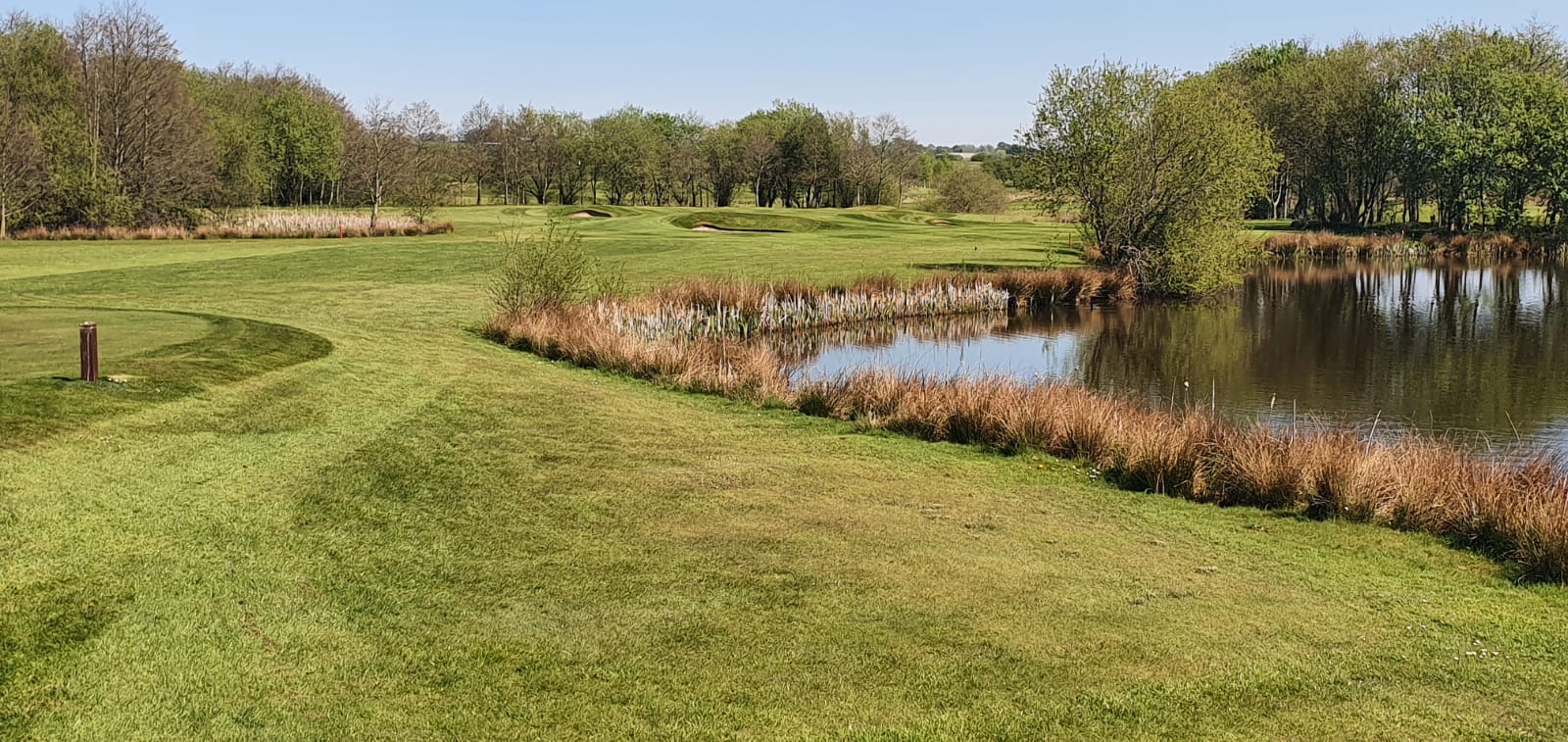 Safeguard the future of Pike Fold Golf Club - a Business crowdfunding ...
