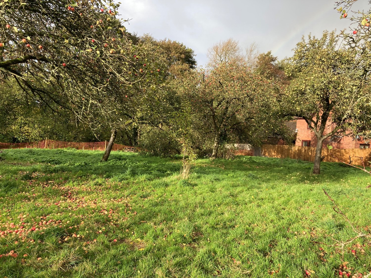Whimple Primary School Orchard & Garden - a Community crowdfunding ...