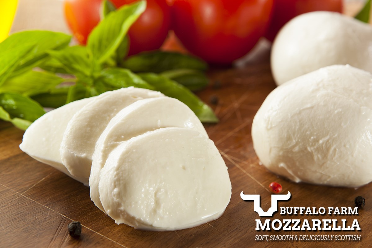 The BuffaloFarm Making Scottish Buffalo Mozzarella - a Food and Drink ...