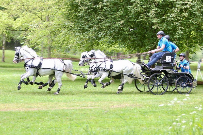 British Pony Driving Team - World Championship ‘19 - a Sports ...