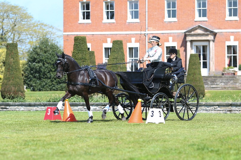 British Pony Driving Team - World Championship ‘19 - a Sports ...