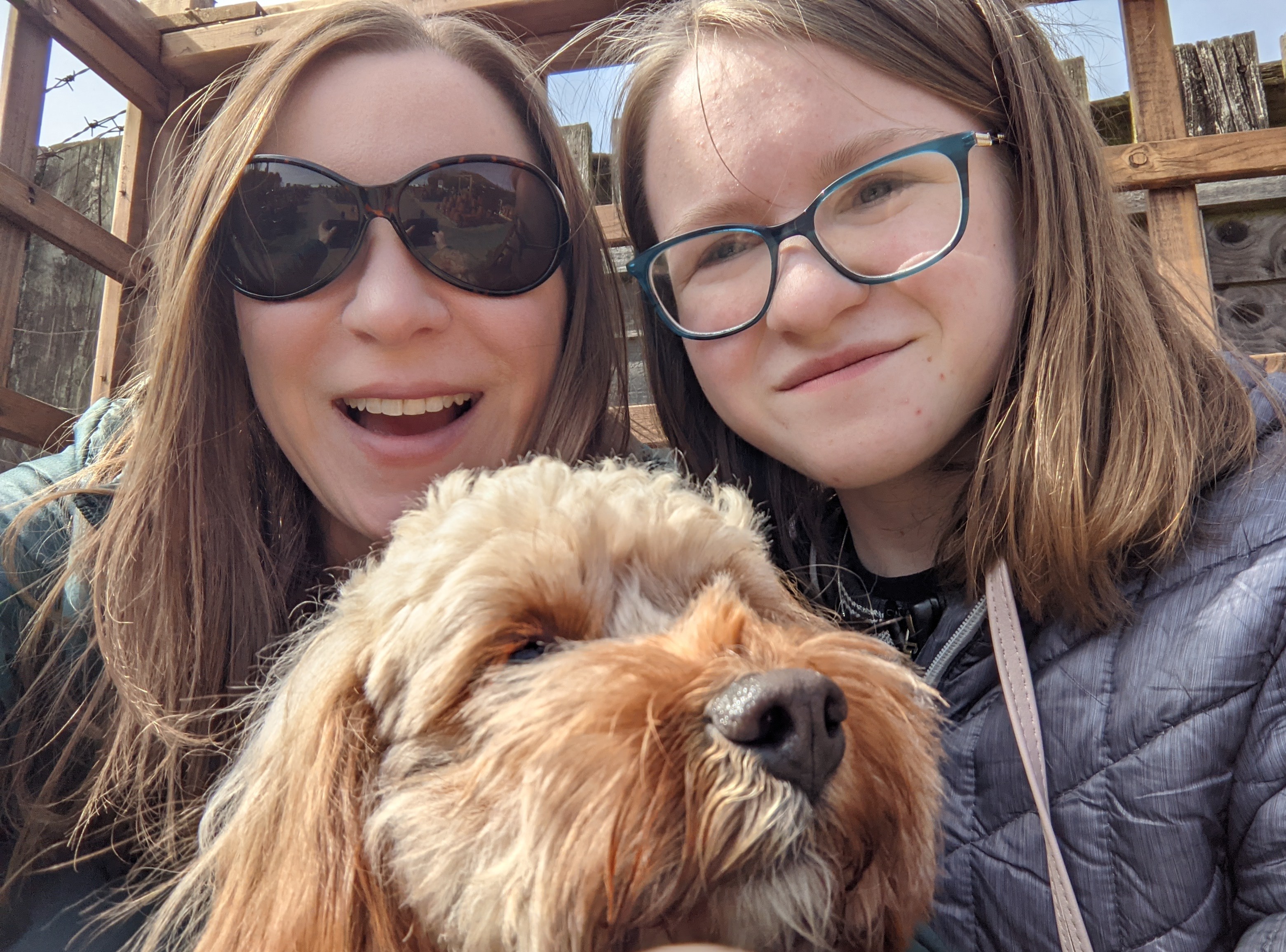 SEN Children's Book Series:Dexter, the School Dog - a Publishing ...