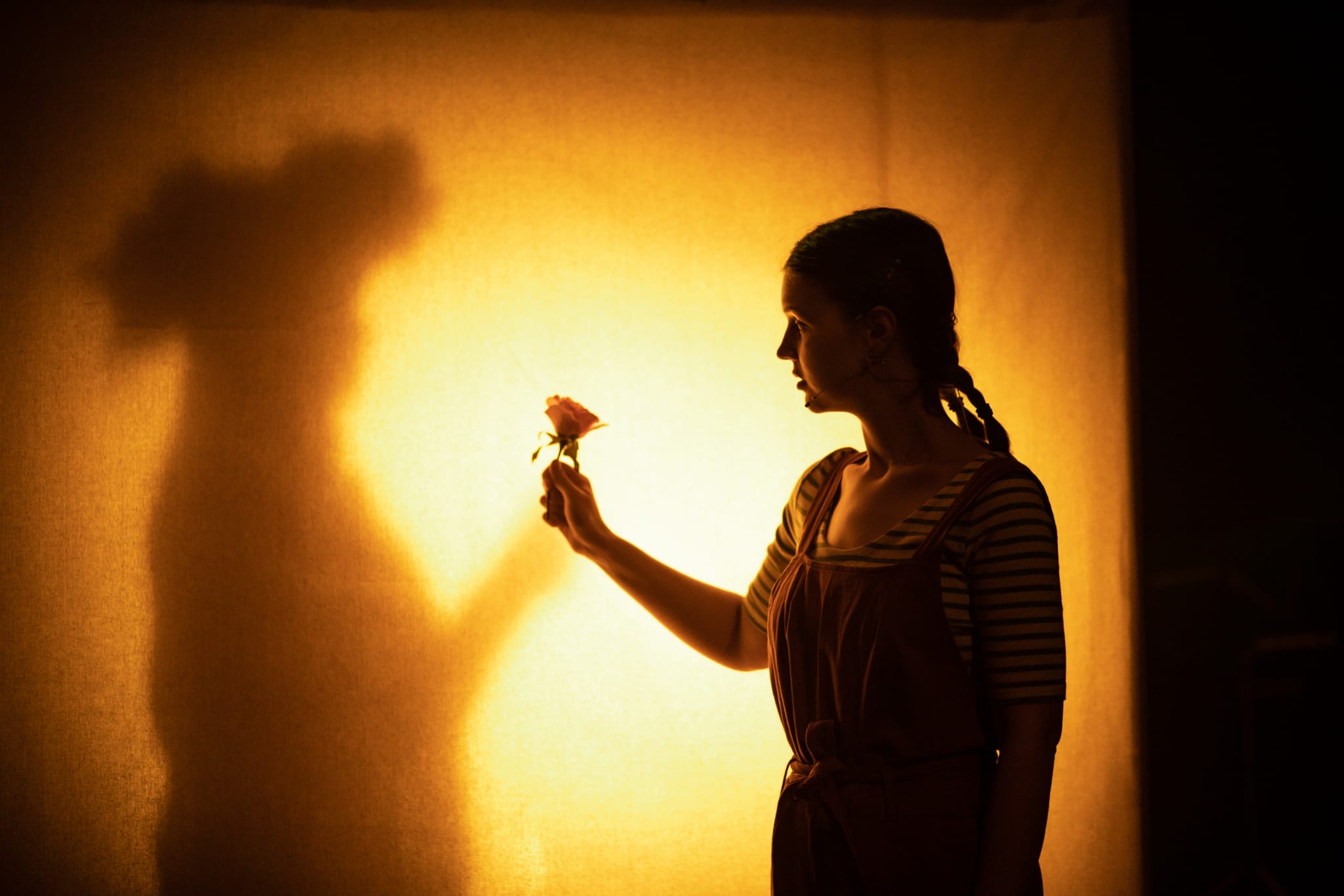 Birdie's Adventures in the Animal Kingdom Musical - a Film and Theatre ...