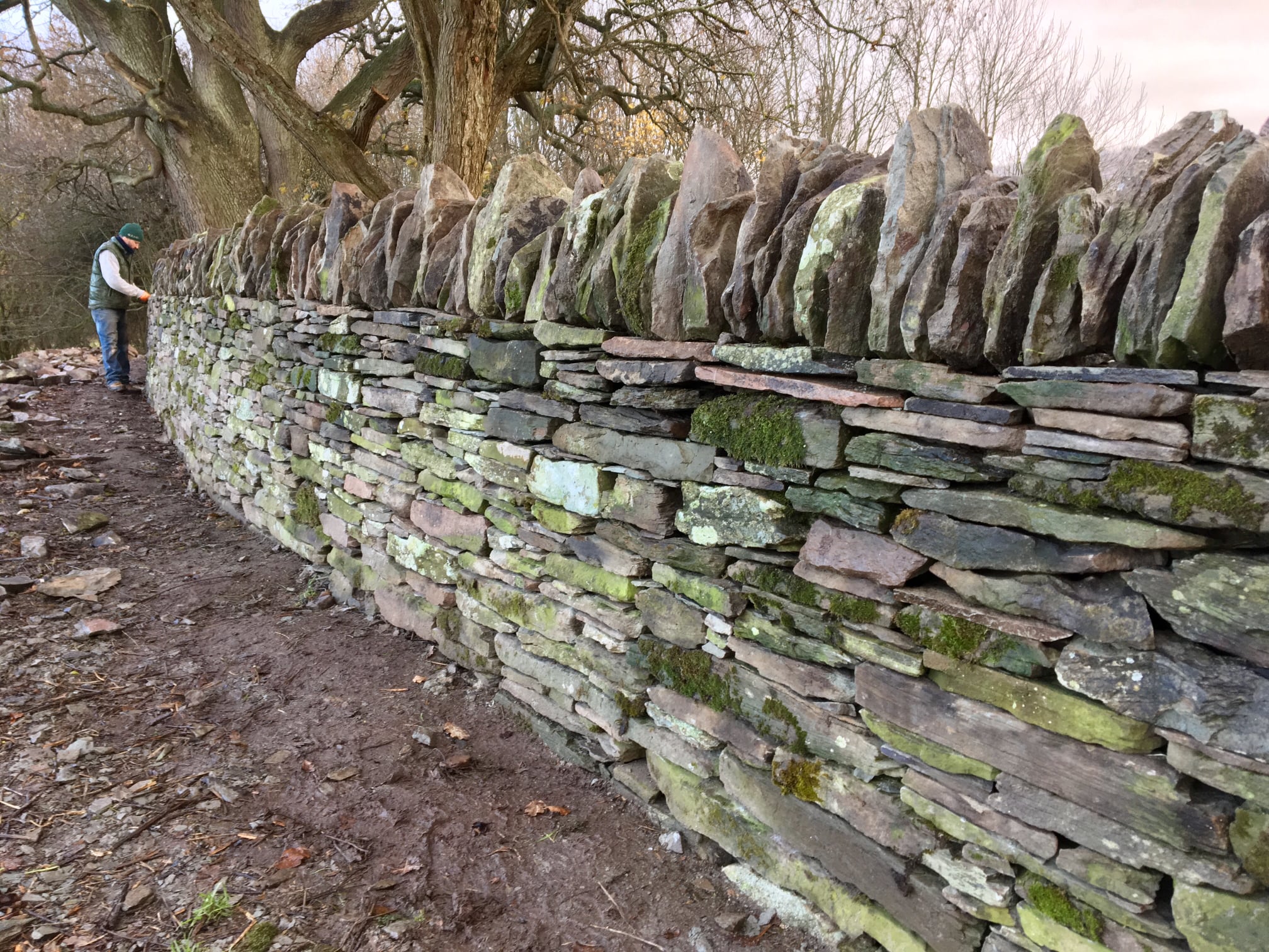 Help save the historic Hay Warren wall - a Environment crowdfunding ...