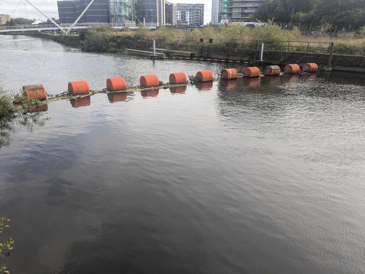 Wasteshark River Cleanup Project - a Environment crowdfunding project ...