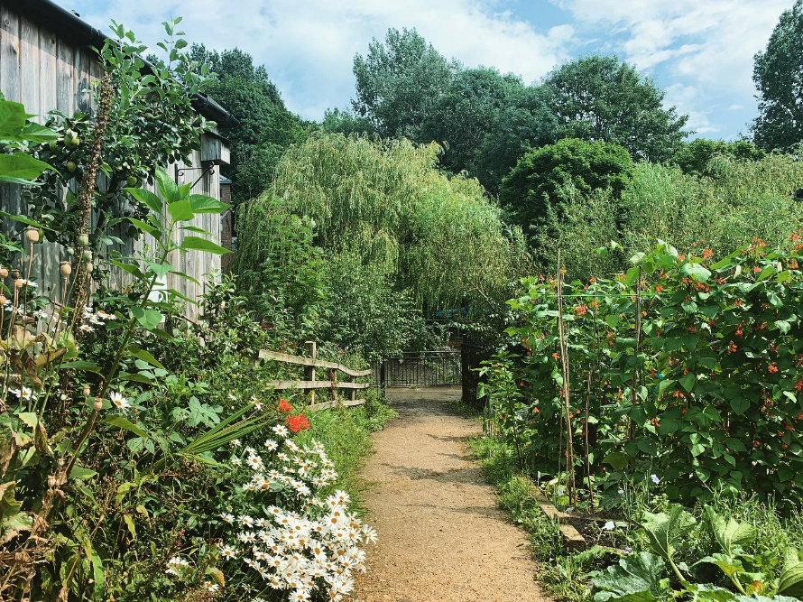 The Ouseburn Farm you Know and Love - a Community crowdfunding project ...