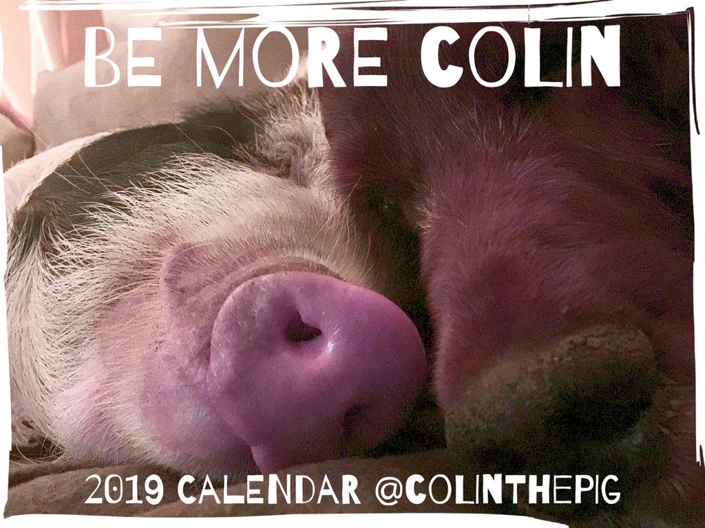 Colin’s Wallow - a Personal Causes crowdfunding project in Cheltenham ...