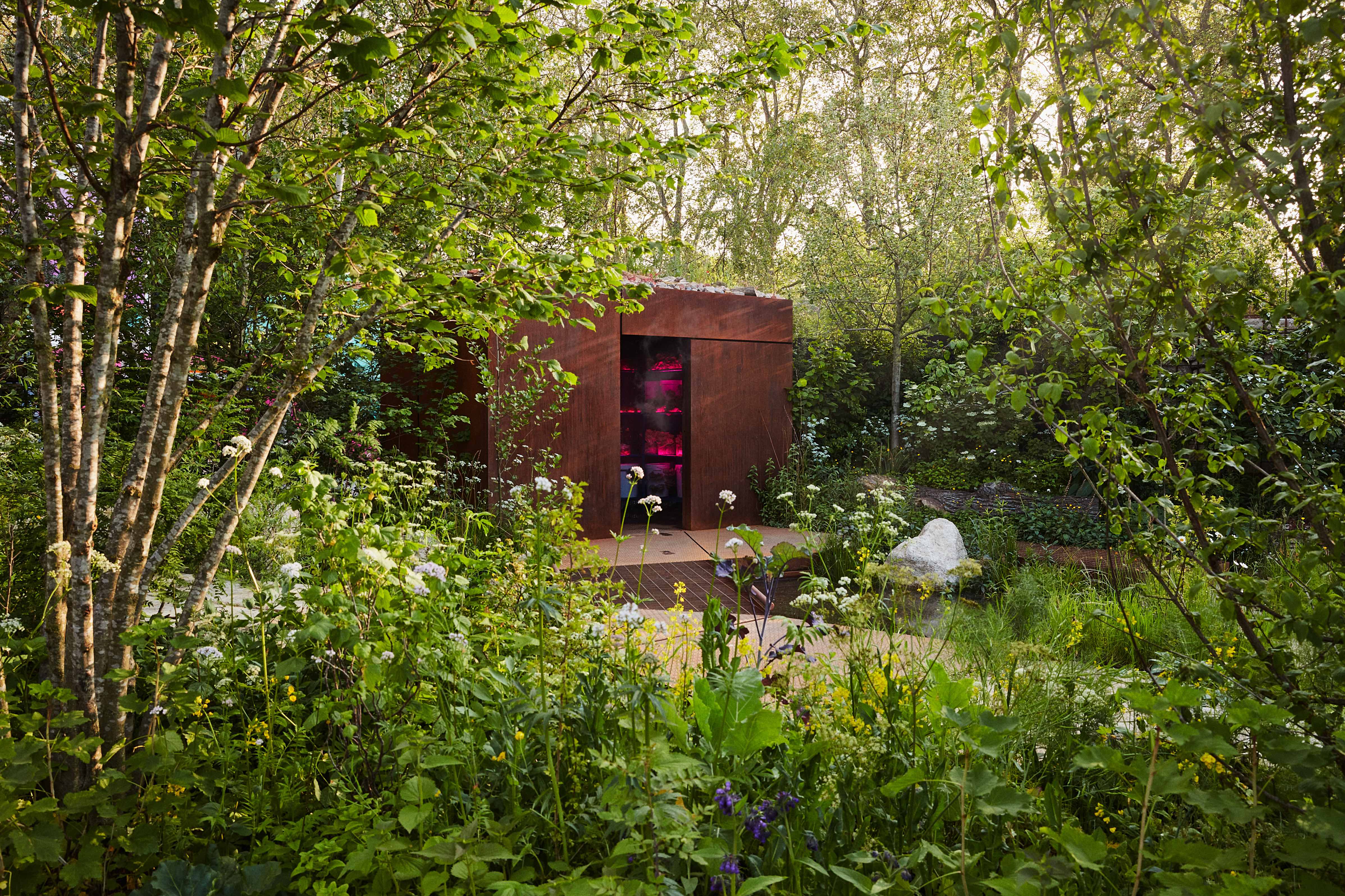 MARKFIELD PARK'S NEW, WILD URBAN COMMUNITY GARDEN - a Community ...