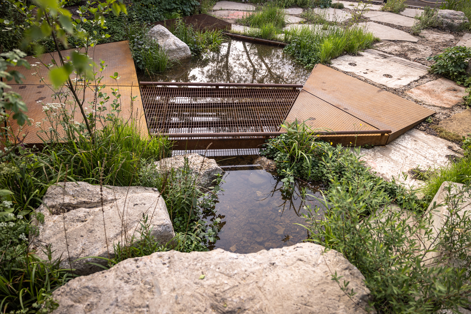 MARKFIELD PARK'S NEW, WILD URBAN COMMUNITY GARDEN - a Community ...