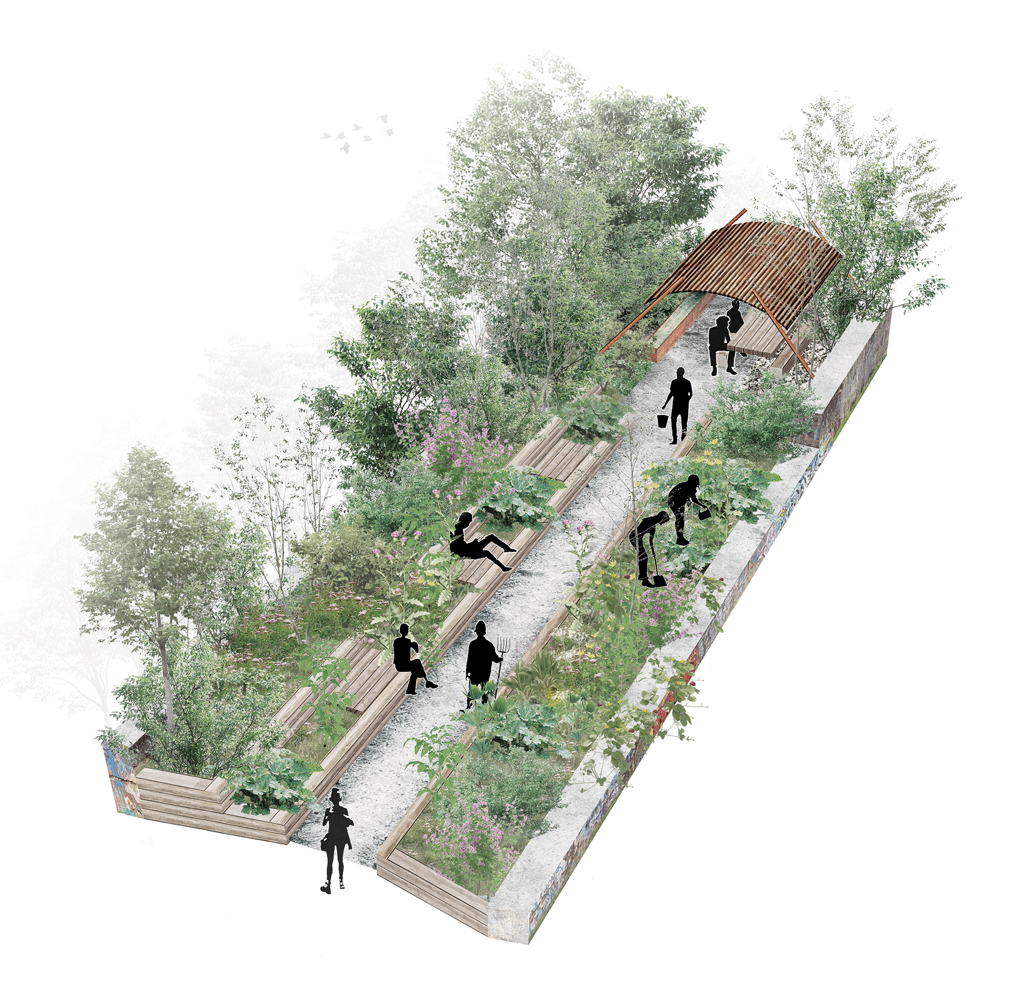 MARKFIELD PARK'S NEW, WILD URBAN COMMUNITY GARDEN - a Community ...