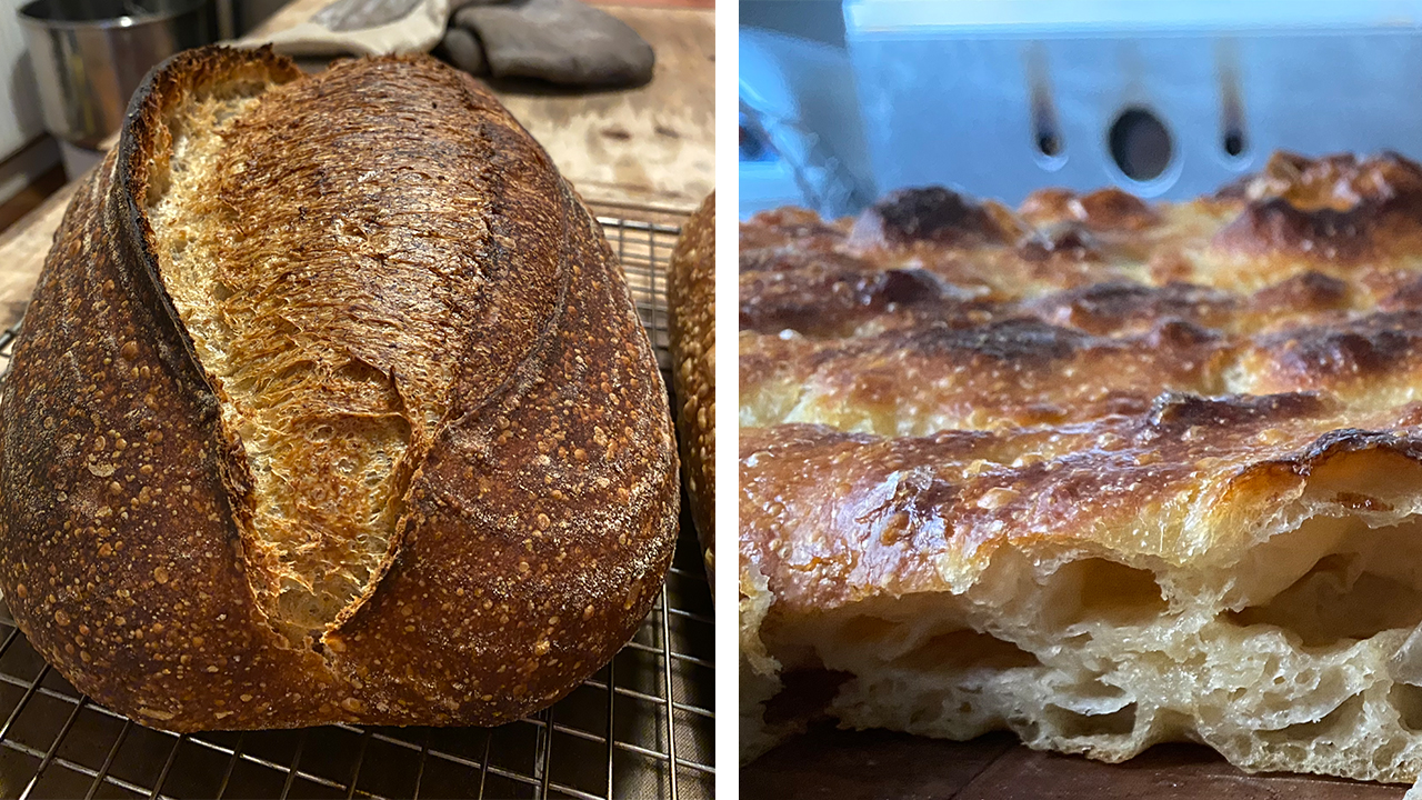 Help Raise Dough for Wild Grains Bakery - a Hospitality crowdfunding ...