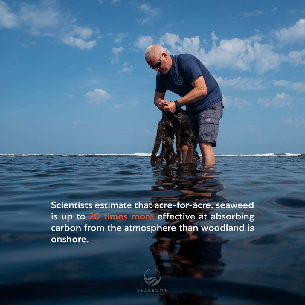 SeaGrown - Turning the tide on climate change - a Food and Drink ...