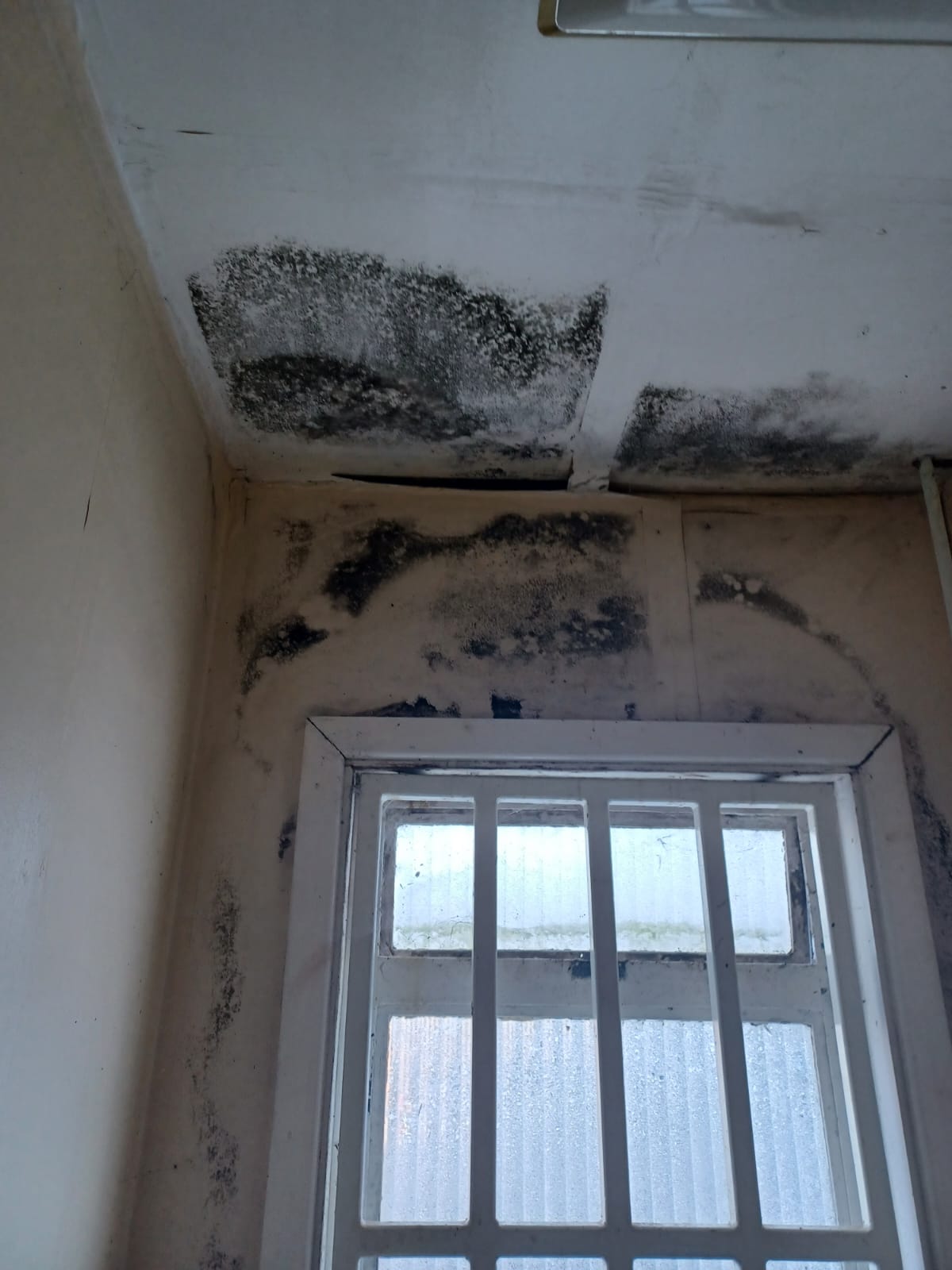 St Georges Dragons BC - Renovation Works - a Community crowdfunding ...