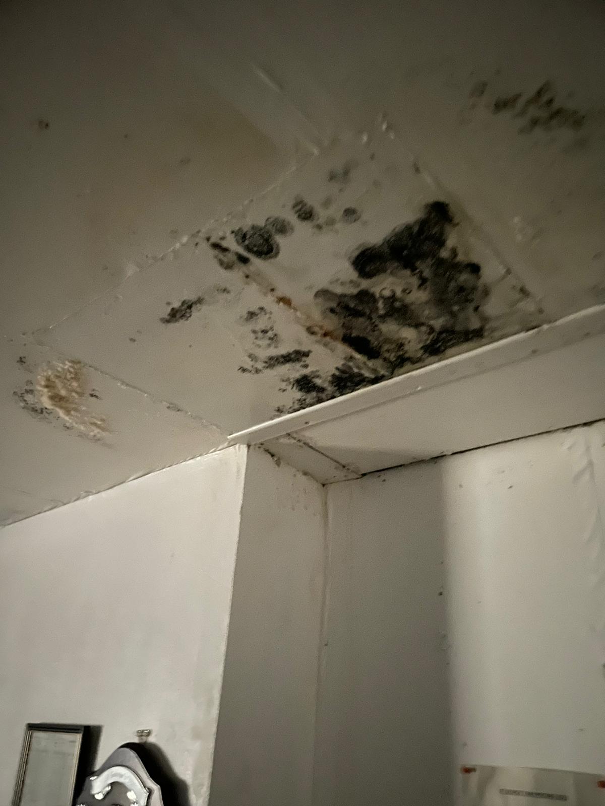 St Georges Dragons BC - Renovation Works - a Community crowdfunding ...