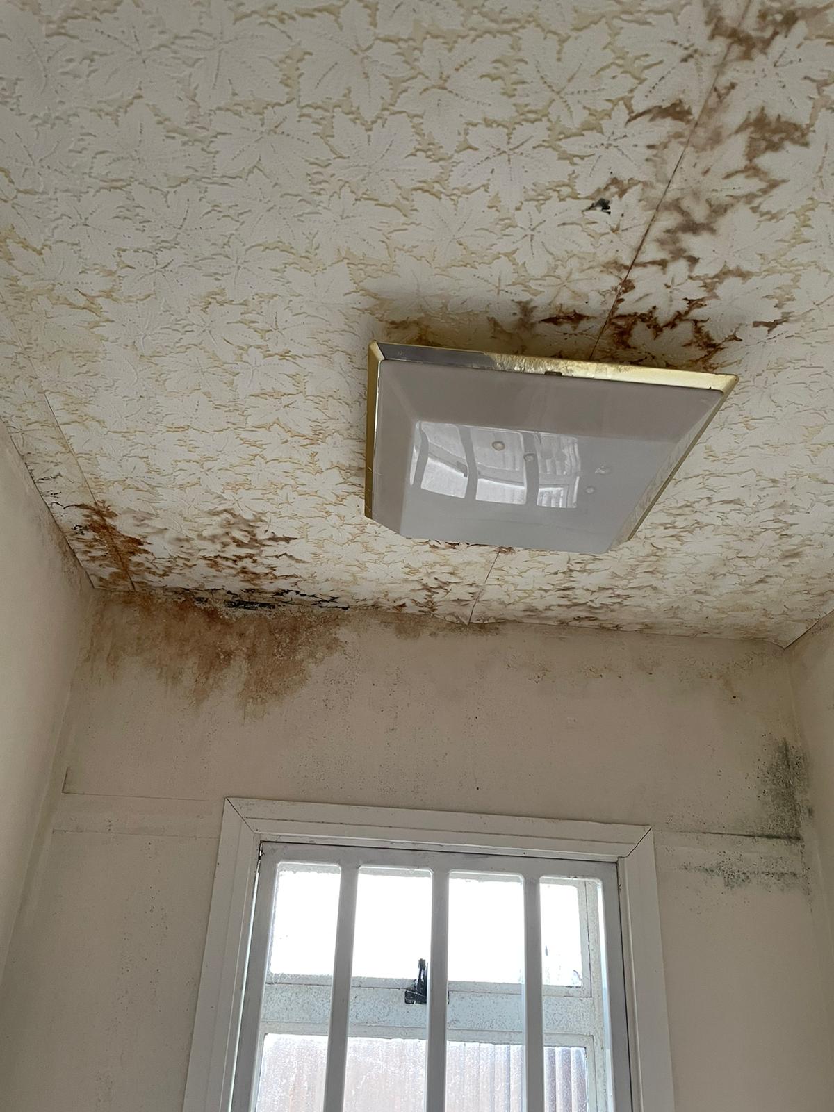 St Georges Dragons BC - Renovation Works - a Community crowdfunding ...