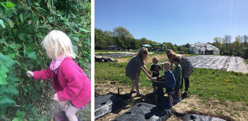 Powering Farnham Community Farm Forward - a Community crowdfunding ...