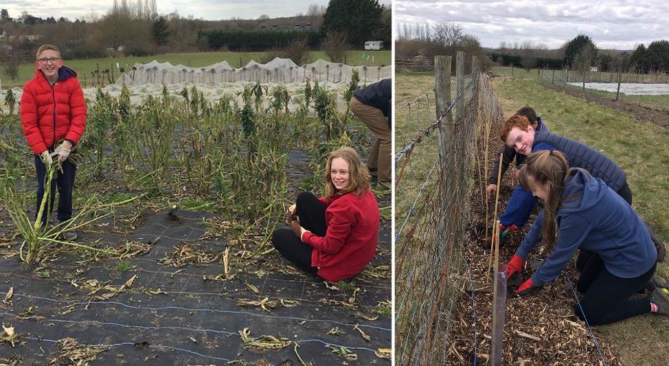 Powering Farnham Community Farm Forward - a Community crowdfunding ...