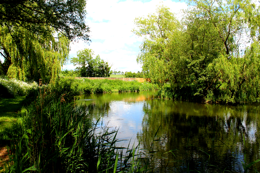 The Rum Bridge Fishing & Glamping 2023 Prize Draw - a Food and Drink ...