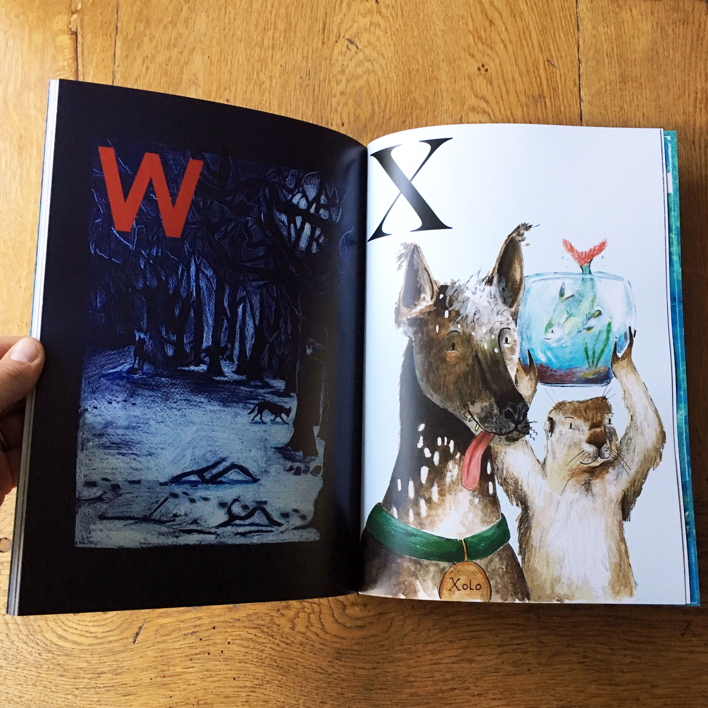 Limited Edition Alphabet Book - a Creative & Arts crowdfunding project ...
