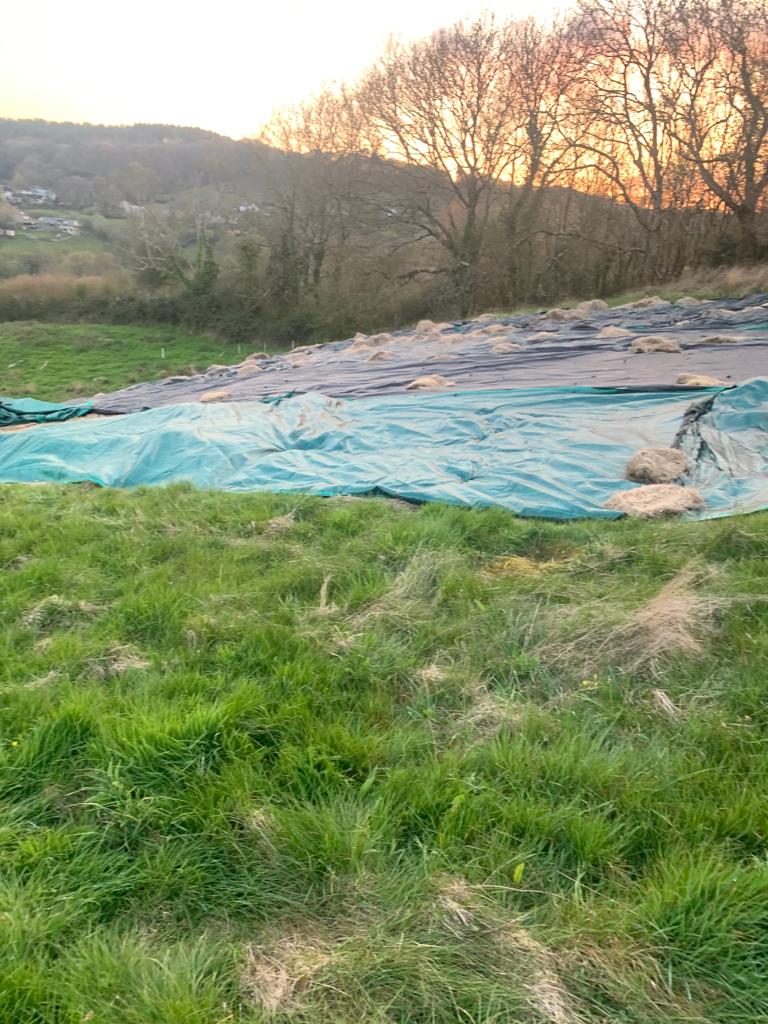 Lyme Regis Common Ground Community Farm - a Food and Drink crowdfunding ...