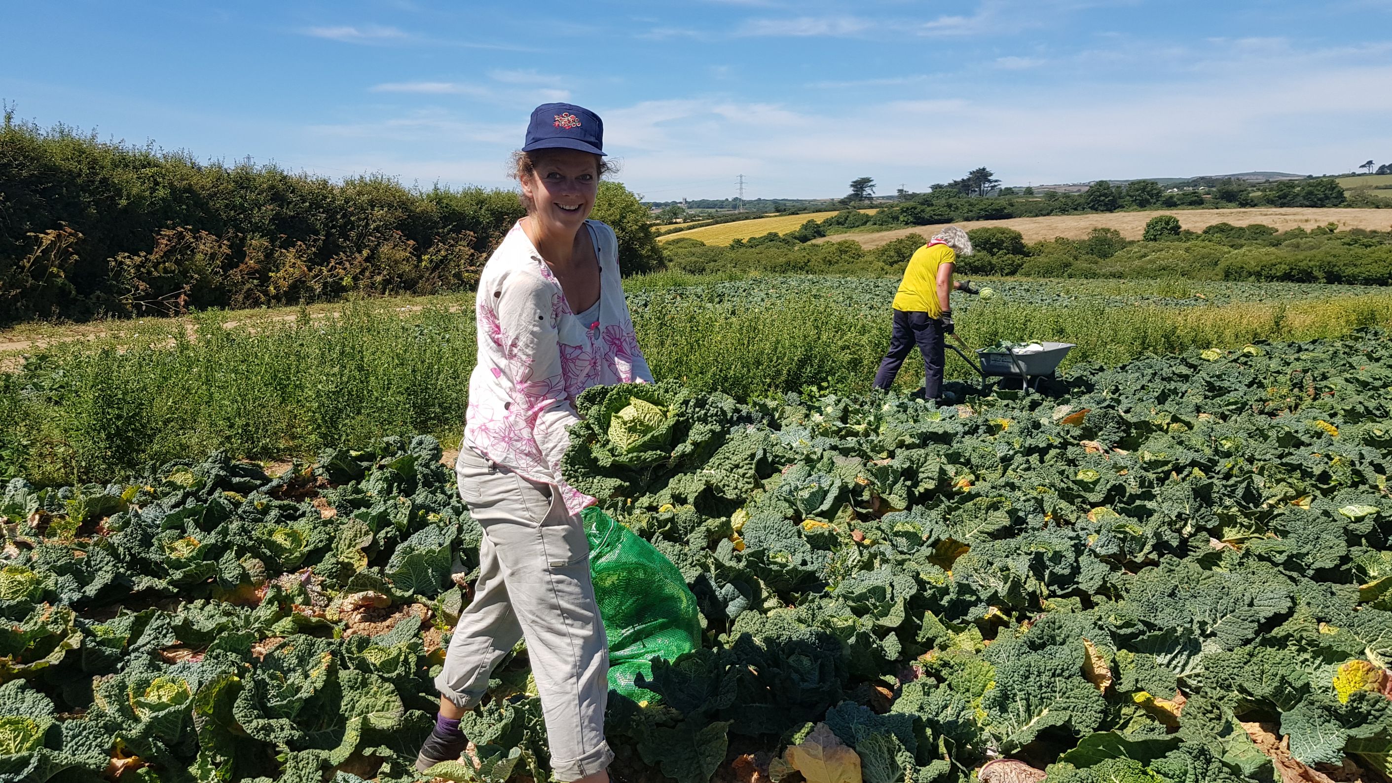Hungry for Change! - a Food and Drink crowdfunding project in Torpoint ...