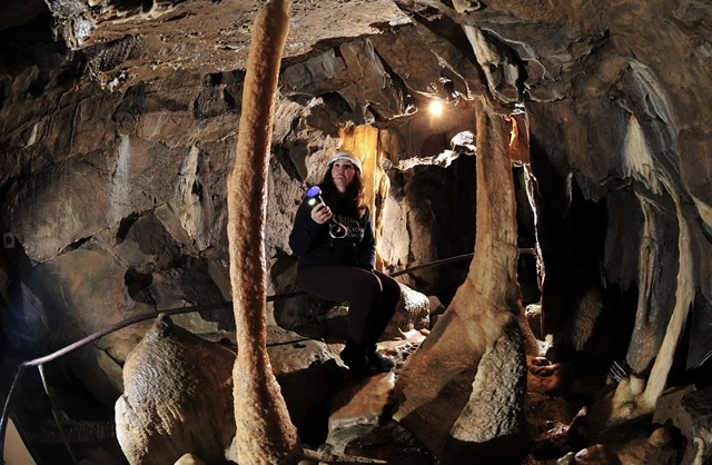 Relight Stump Cross Caverns - a Food and Drink crowdfunding project in ...