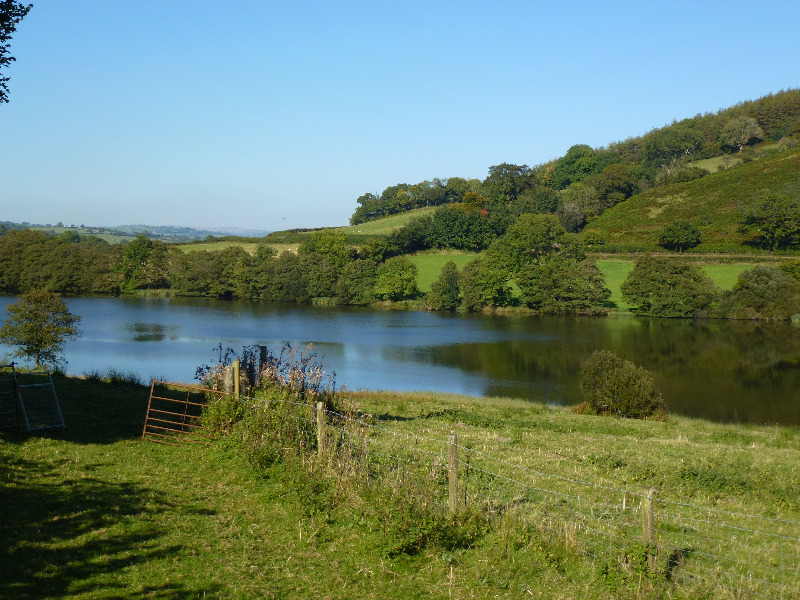 Glandwr Cottage Renovation - a crowdfunding project in Talley by ...