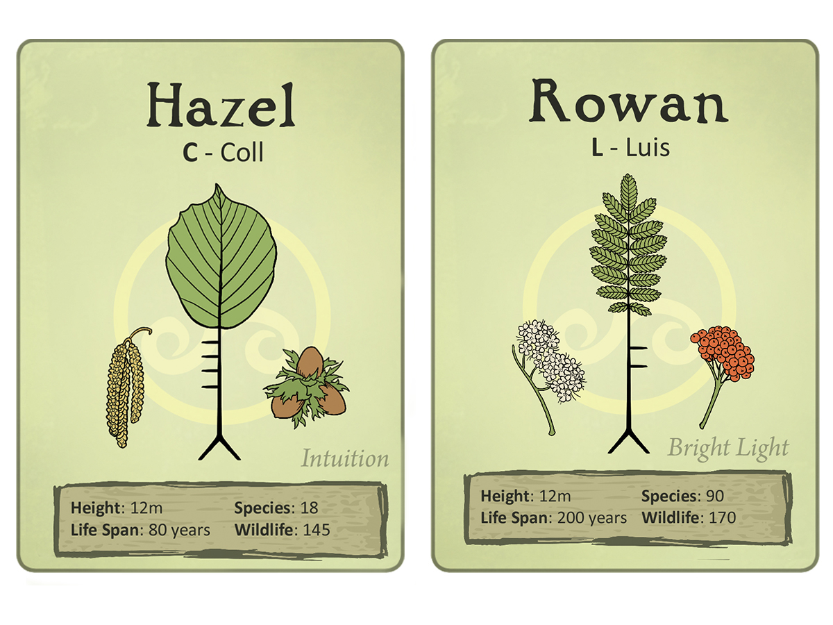 Tree Cards to Plant Trees - a Creative & Arts crowdfunding project in ...