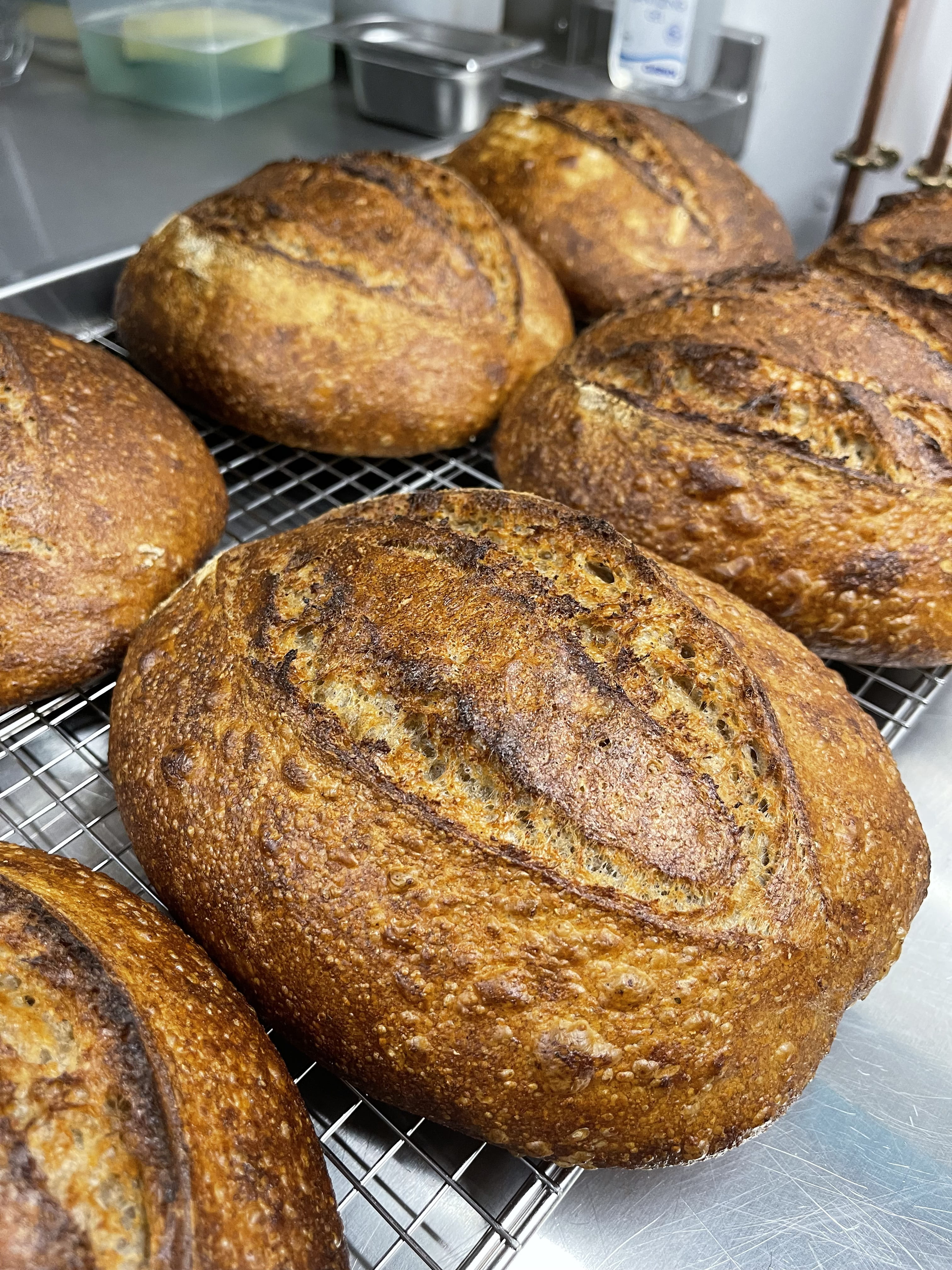 Put Tarn Bakery on the Map - a Food and Drink crowdfunding project in ...