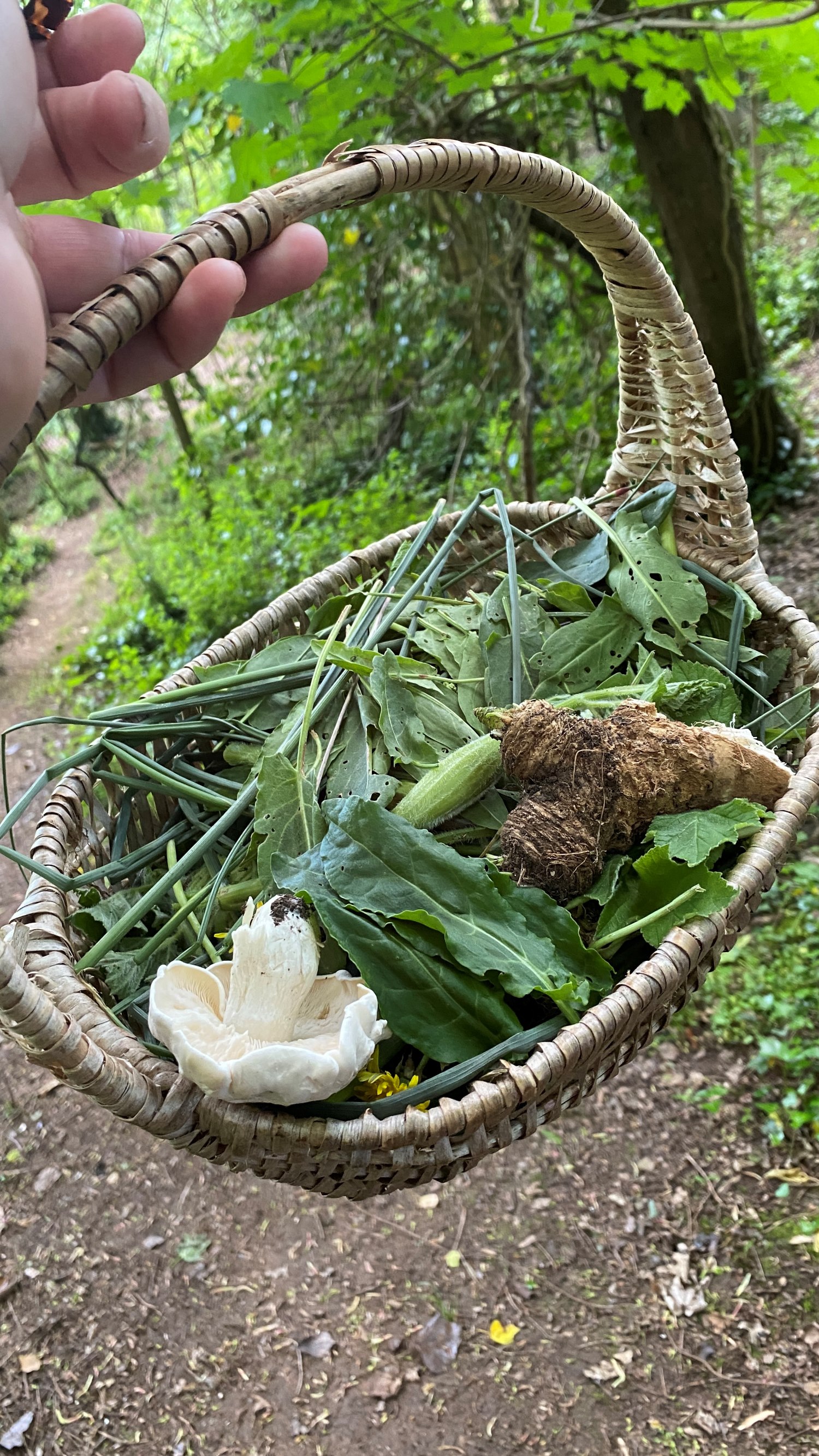 Keep Bridge Farm Community Owned - a Community crowdfunding project in ...