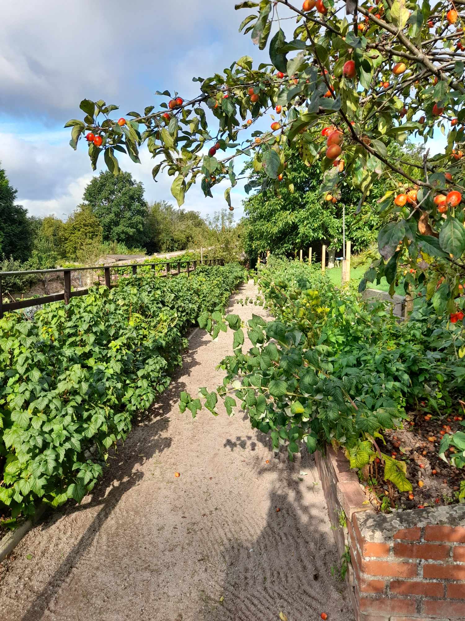 Erlas Victorian Walled Garden Autumn Fundraiser - a Community ...